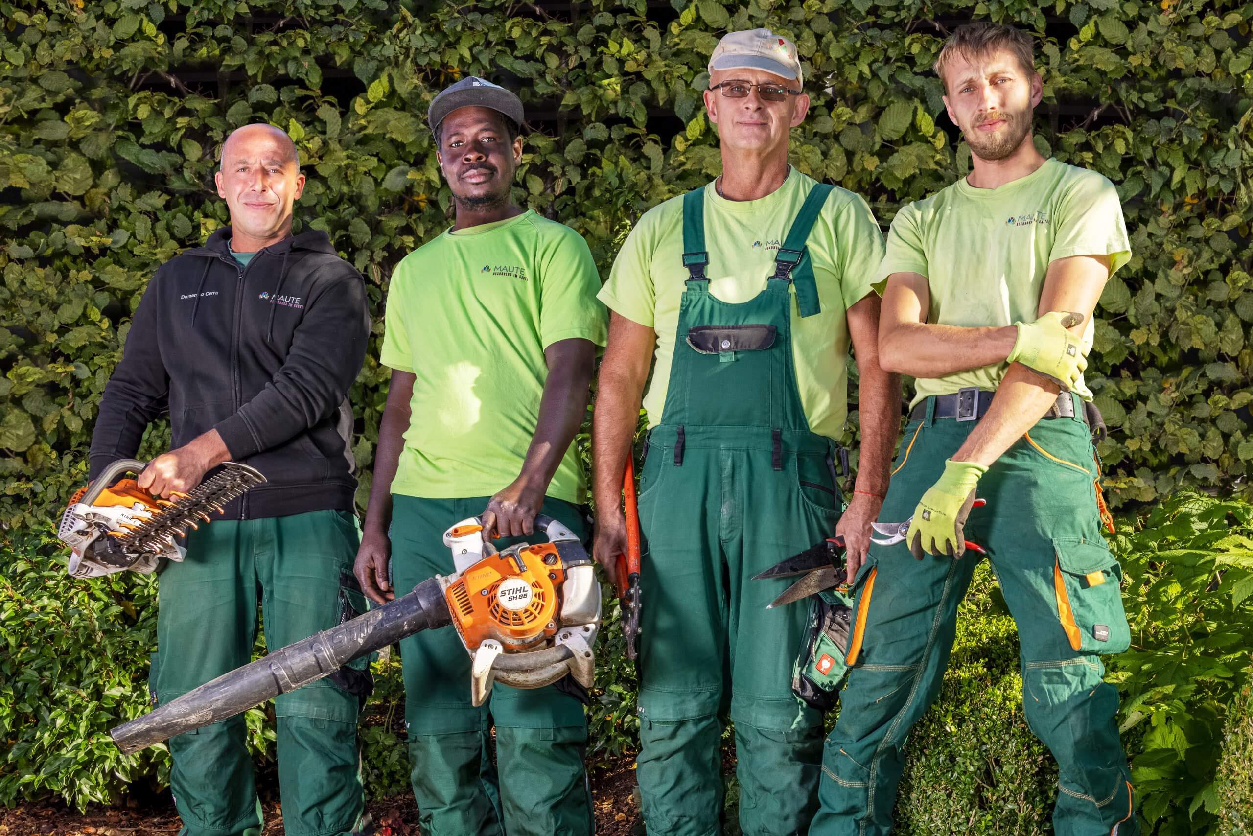 Maute - besonders im Garten.